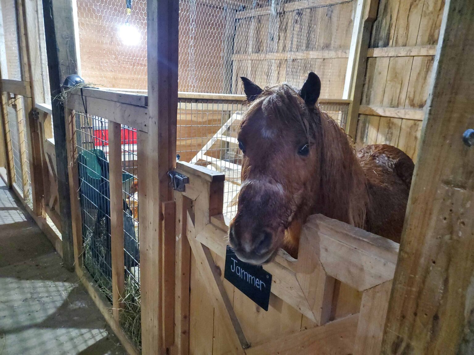 Falling In Love With The Blue Bruce B&B: A Personal Experience - Just ...